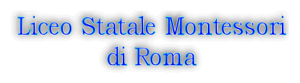 Ivo Bruner - Liceo Statale Montessori